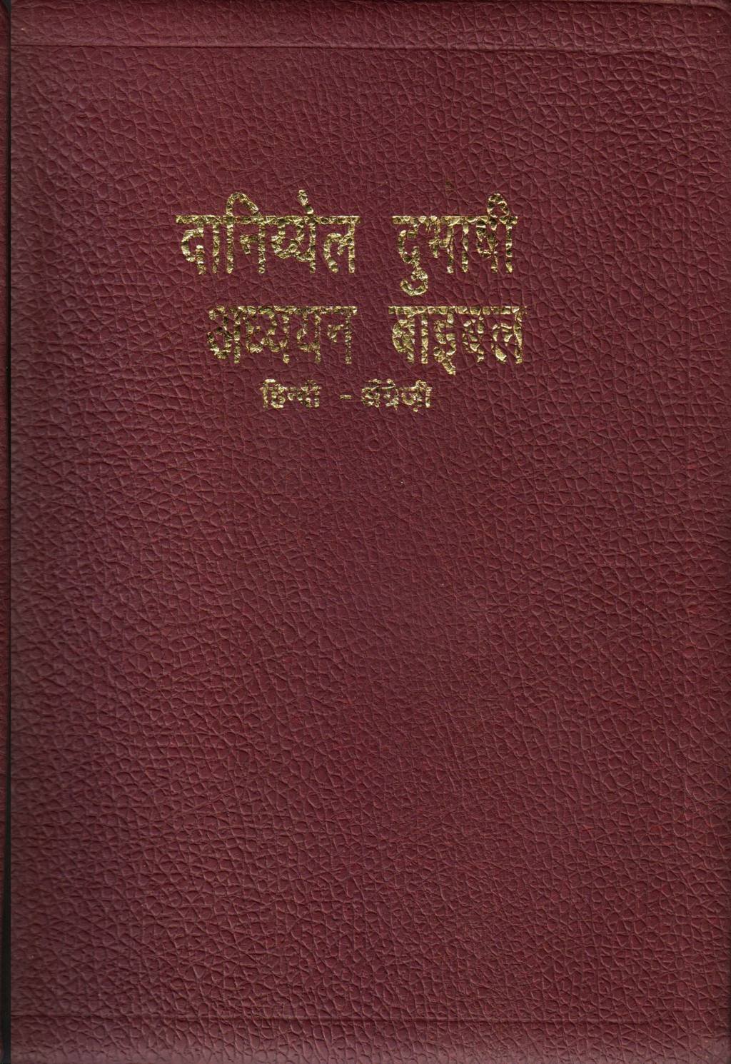 Hindi - English ( Bilingual ) Study Bible