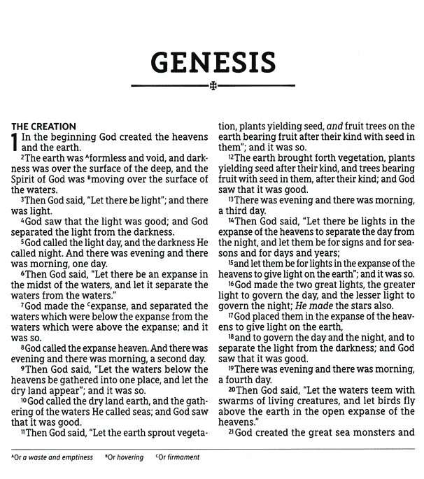 NASB 1995 Text XL Edition Bible: Giant Print - Brown Leathersoft (ISBN ...