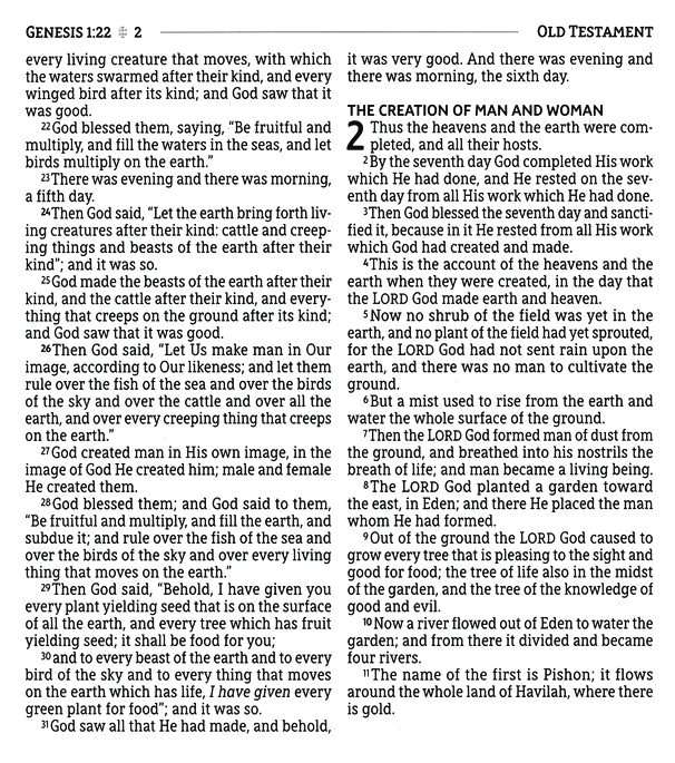 NASB 1995 Text XL Edition Bible: Giant Print - Brown Leathersoft (ISBN ...