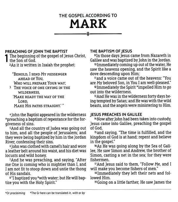 NASB 1995 Text XL Edition Bible: Giant Print - Brown Leathersoft (ISBN ...