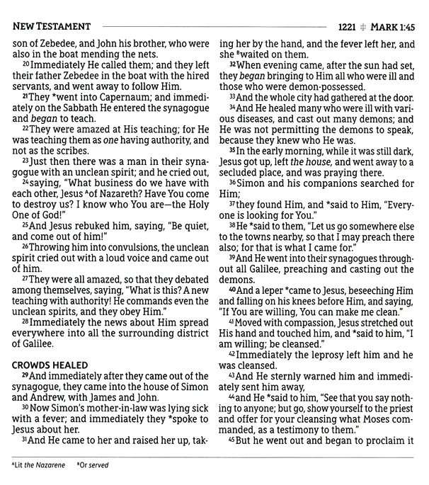 NASB 1995 Text XL Edition Bible: Giant Print - Brown Leathersoft (ISBN ...