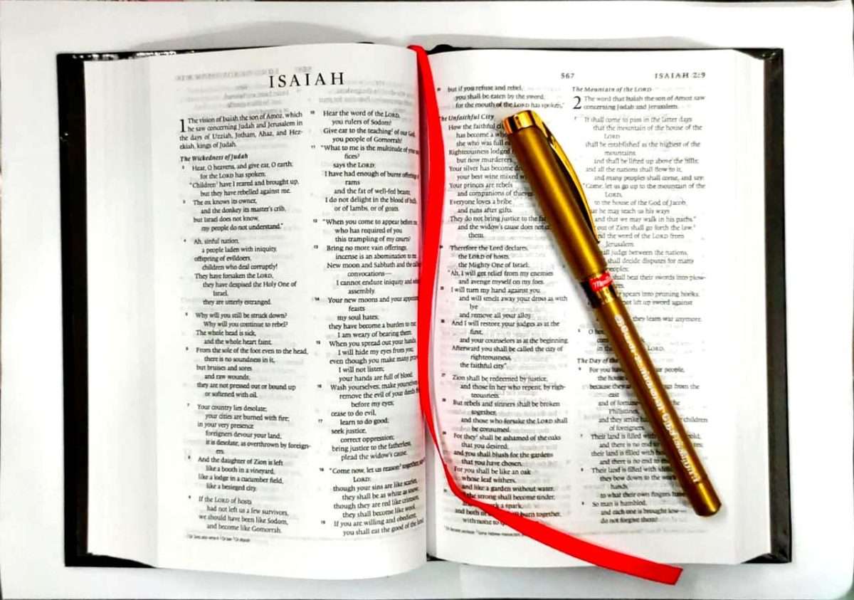 ESV Bible - Black Compact Size: BSI (ISBN:9788122138658 ...