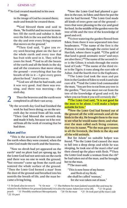 NIV Color Code Bible for Kids