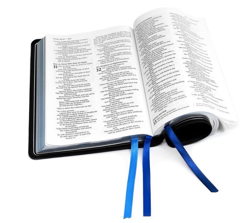 NIV Thinline Bible Large Print: Premium Leather Goatskin (ISBN ...