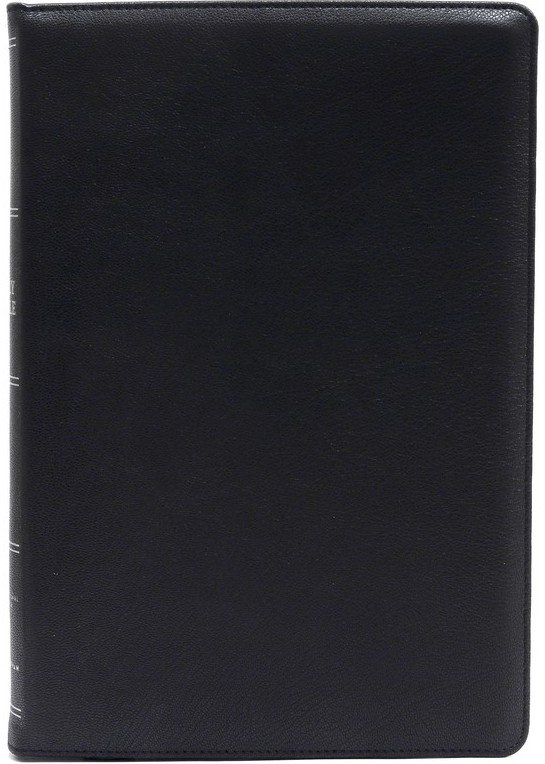 NIV Thinline Bible Large Print: Premium Leather Goatskin (ISBN ...