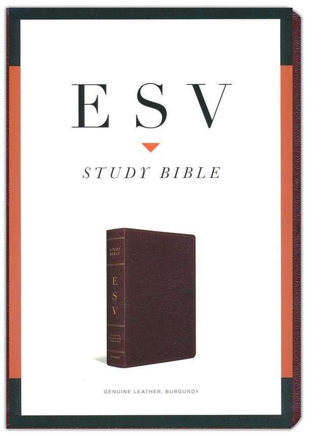 ESV Study Bible: Genuine Leather Burgundy With Thumb Index (ISBN ...