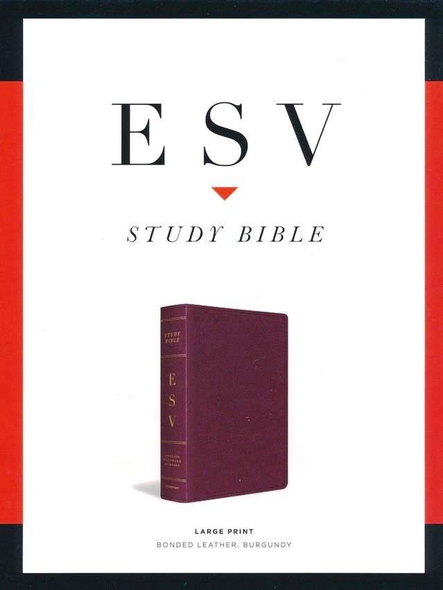 ESV Study Bible Large Print Edition: Bonded Leather Burgundy [24] (ISBN ...