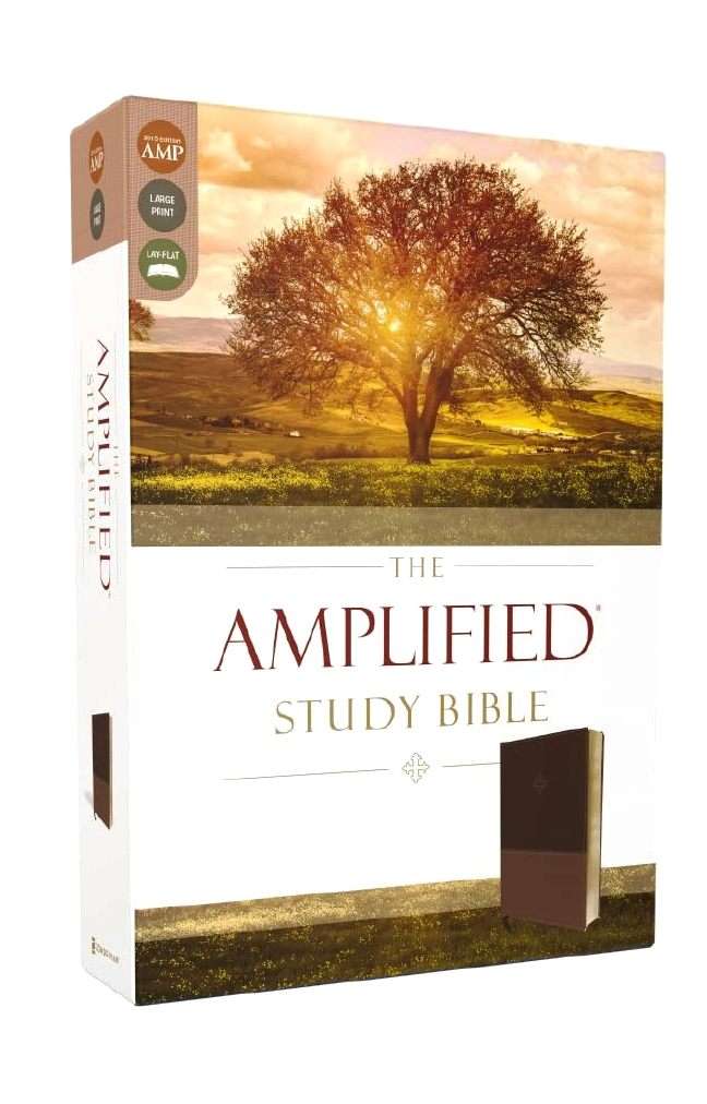 Amplified Study Bible: Brown Leather Soft (ISBN:9780310440802) - 25 ...
