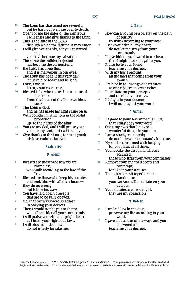 NIV Preacher's Bible - Verse -by-Verse Layout For Easy Navigation ...