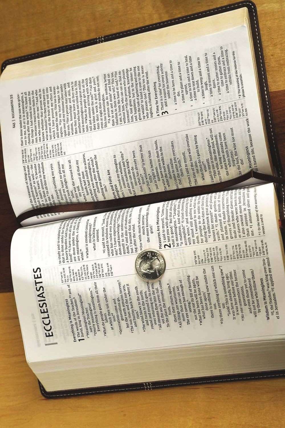 NIV Thinline Center Column Reference Bible: Dark Orchid Grape (ISBN ...