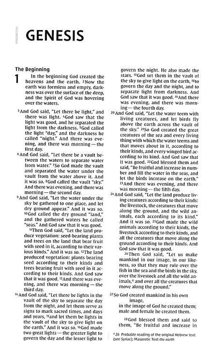 NIV Value Thinline Bible:Orchid/Pink Leathersoft (ISBN:9780310448495 ...