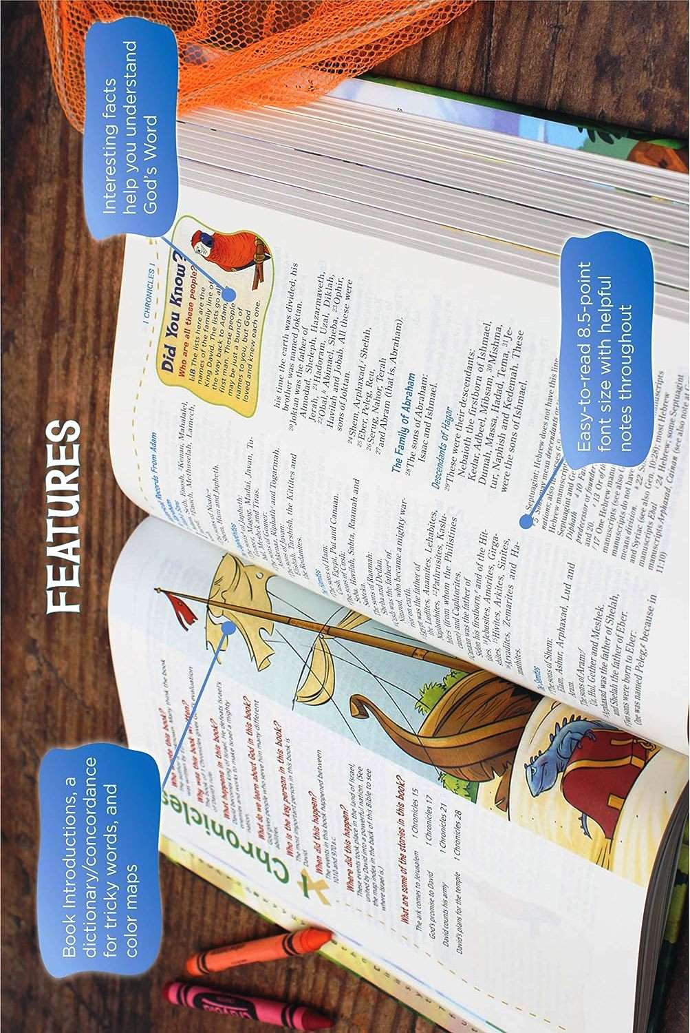 NIV Adventure Bible Full Color Inside: Zebra Print Leathersoft (ISBN ...