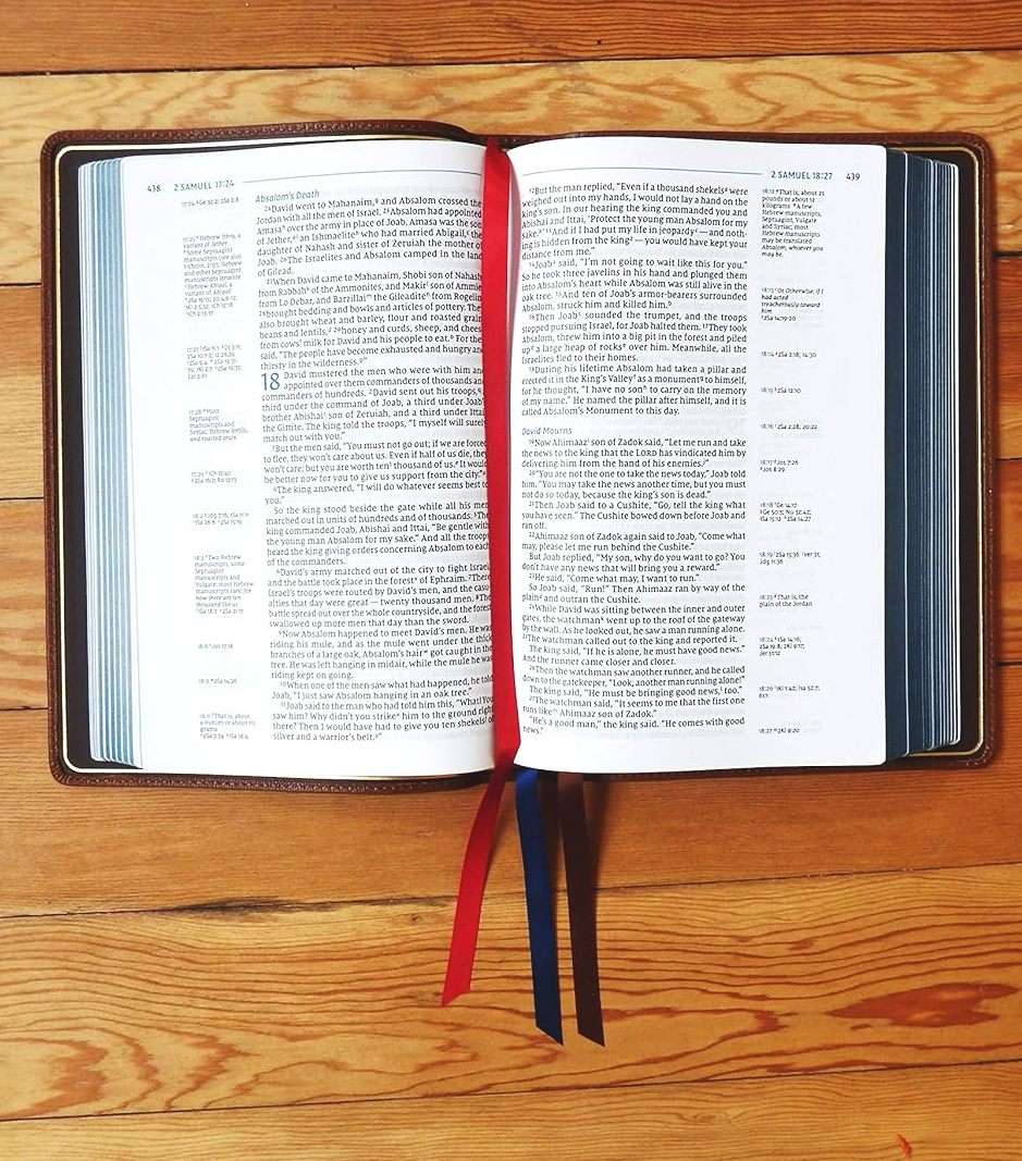 NIV Wide Margin and Side-Column Reference Bible: Black Premium Goatskin ...