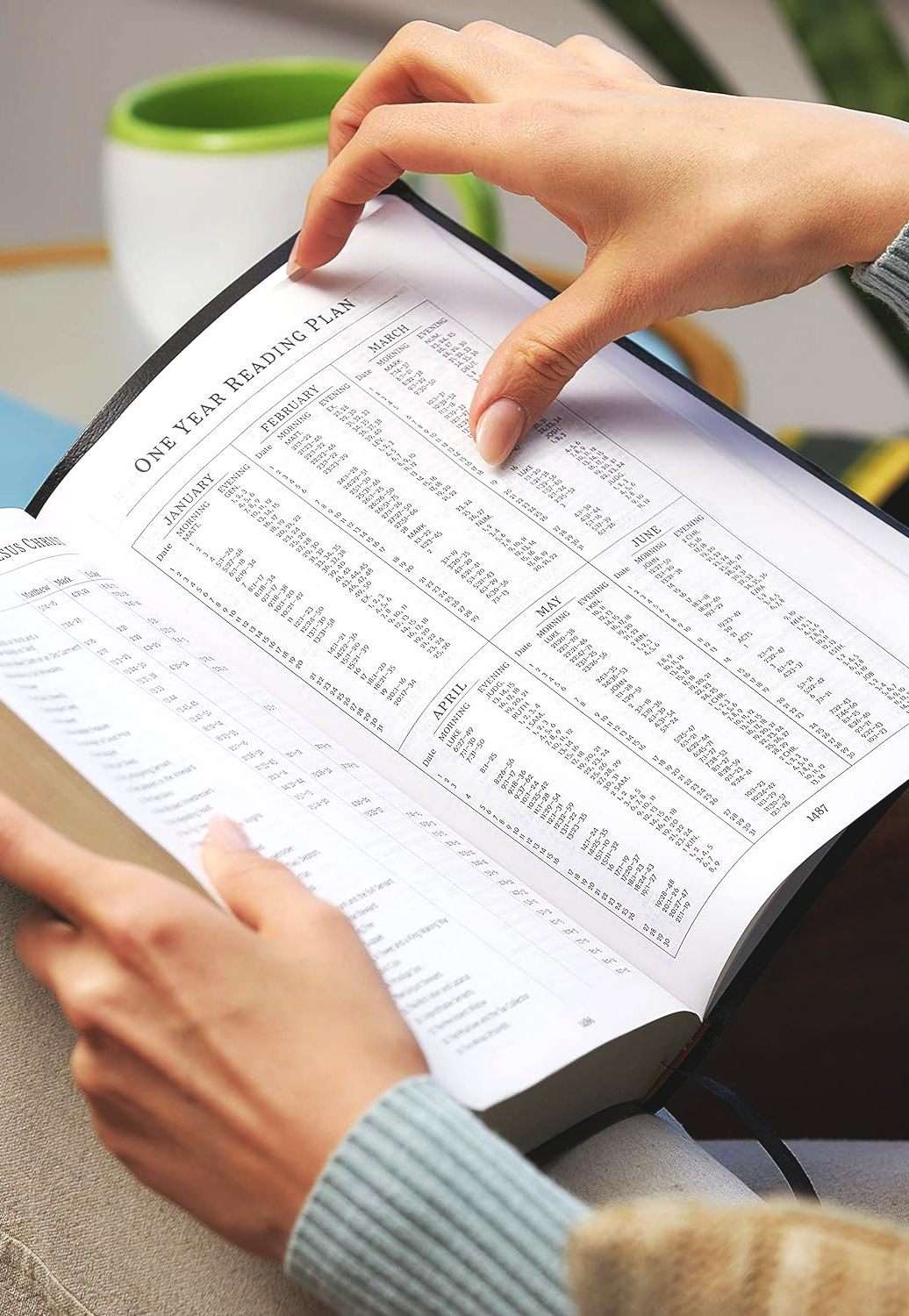 KJV Giant Print Centre-Column Reference Bible: Lay Flat Brown ...