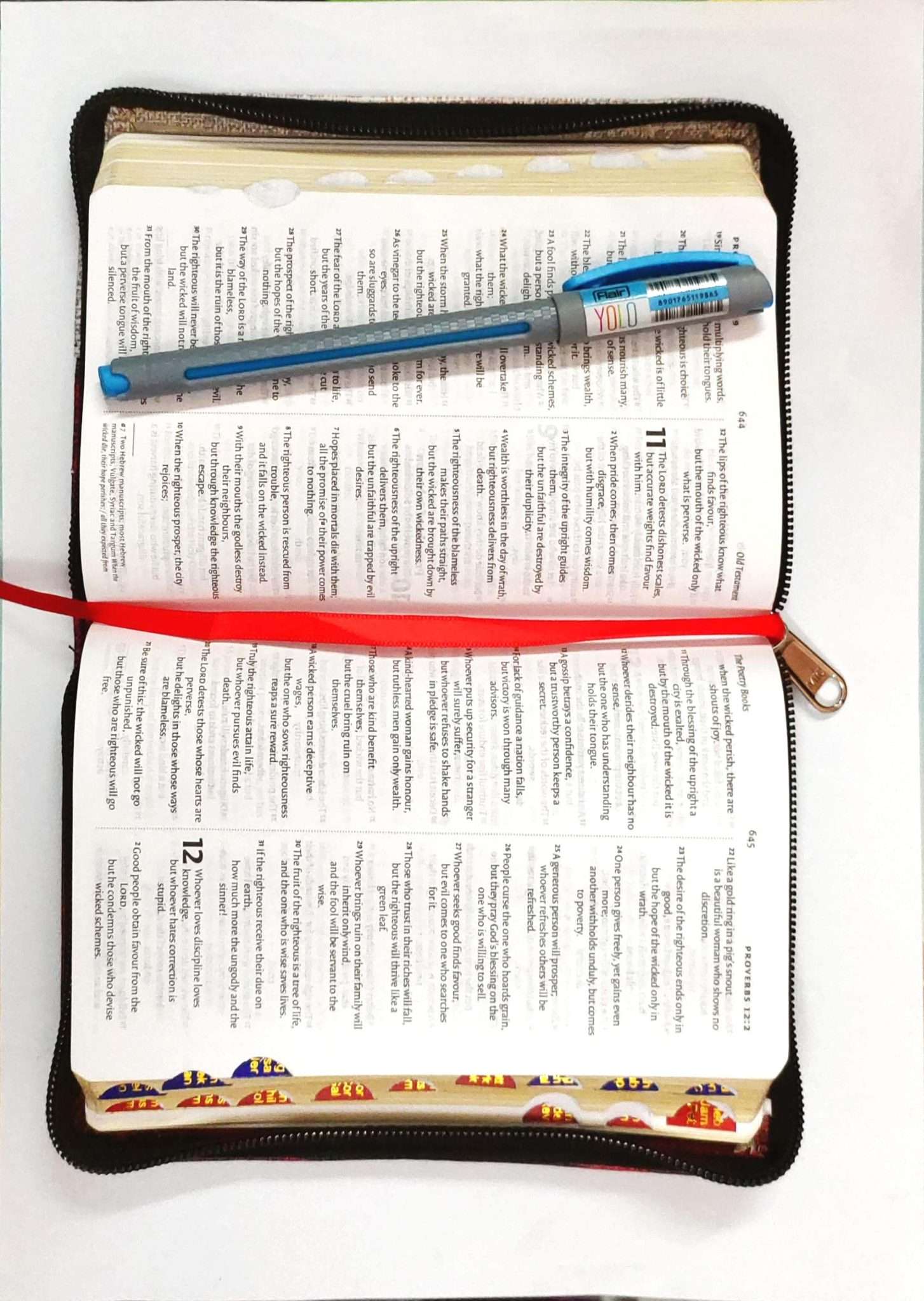 NIV Compact Bible - Red Letter Edition: Blue/Red Color Zip Type With ...