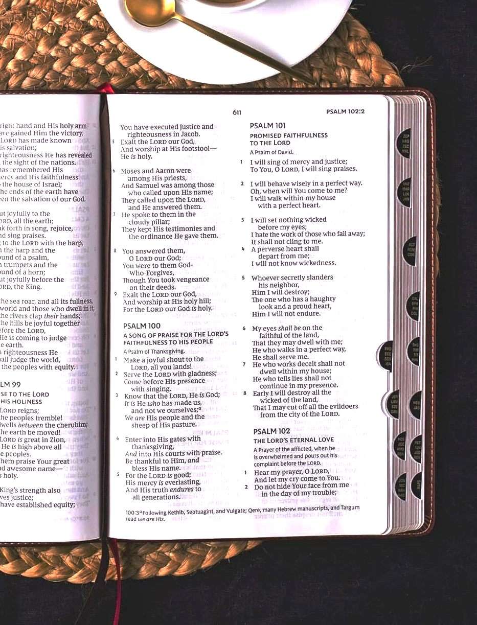 NKJV Giant Print Thinline Bible: Thumb Index – Brown Leather Soft (ISBN ...