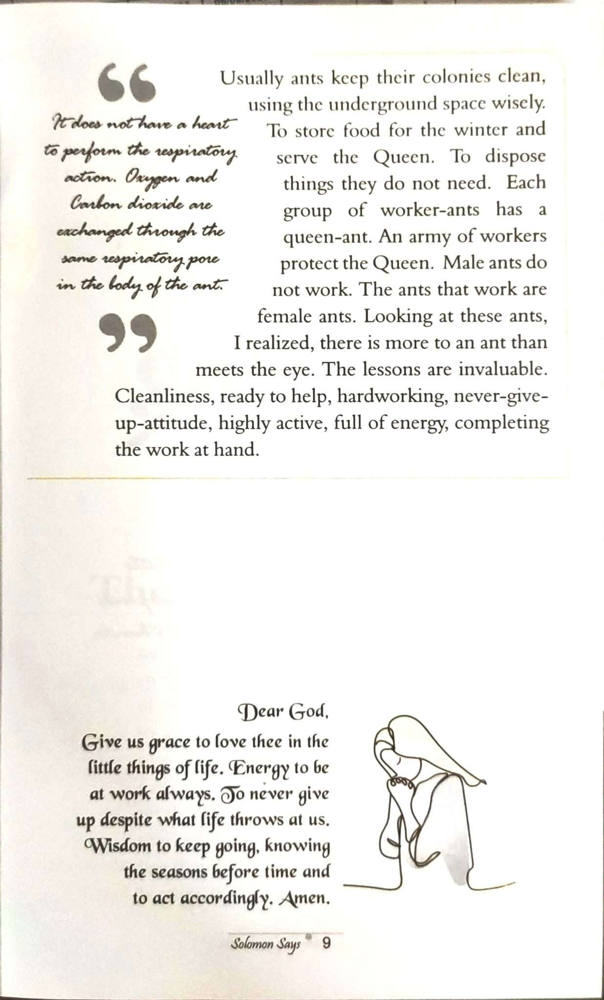 Sandwich Wisdom Unwrapped: by- Dr. Newbegin M. - ChristianBooksIndia.com