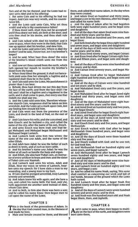 KJV Deluxe Gift Bible: Gray Leathersoft: (ISBN:9780718097820) [24 ...