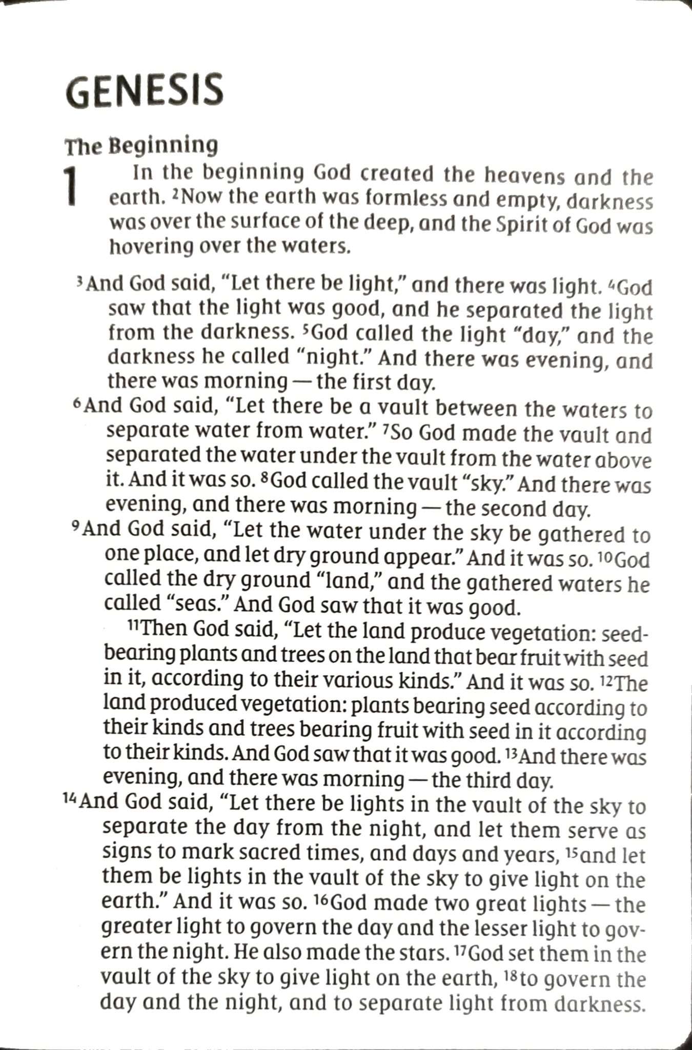 NIV Giant Print Compact Bible: Single Column Format Black Leathersoft ...
