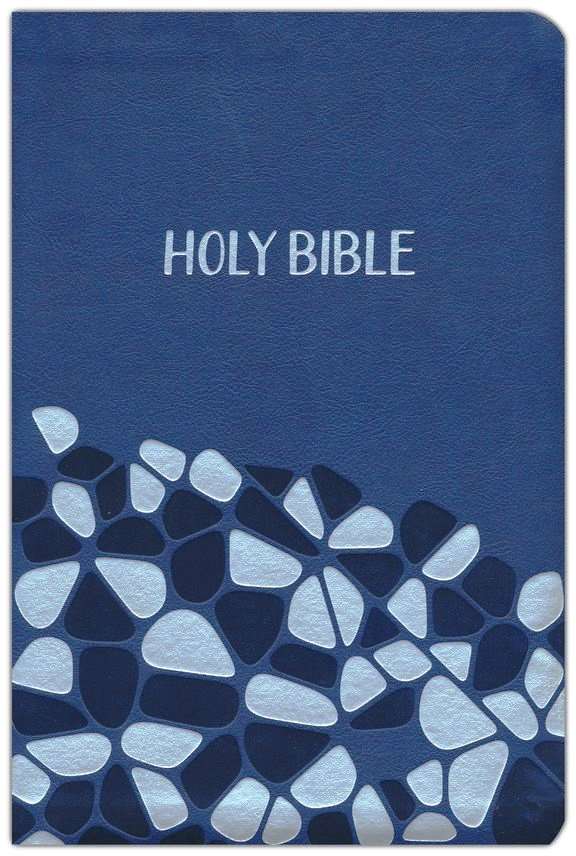 NIV Bible Gift Set: Includes NIV Bible, Journal, Prayer Cards, Notepad ...