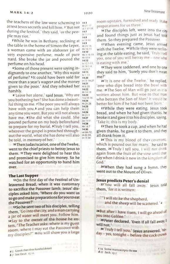 NIV Bible Cross Reference With Concordance: White Leather Touch - China ...