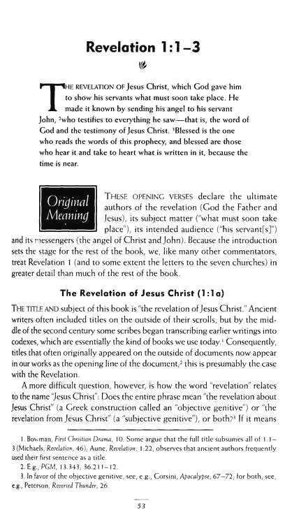 NIV Application Commentary [NIVAC]: Net Testament 20 Volumes Set [24 ...