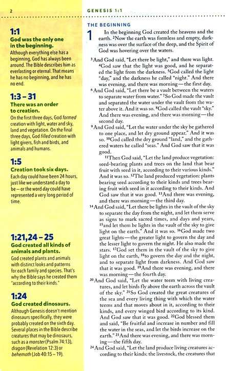 NIV Kids’ Visual Study Bible: Hardbound (ISBN:9780310758600) -25 ...