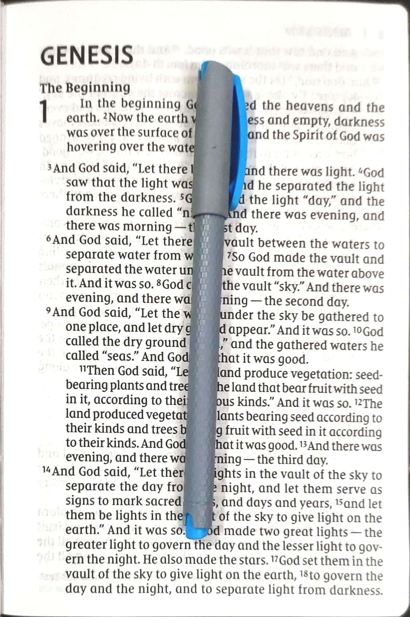 NIV Giant Print Compact Bible: Single Column Format Black Leathersoft ...