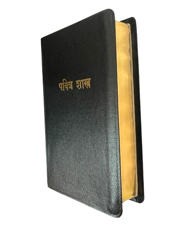 Marathi Bible: Black Open Gold Edge Demi Size - ChristianBooksIndia.com