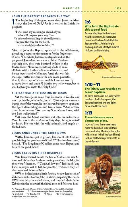 NIV Kids’ Visual Study Bible: Hardbound (ISBN:9780310758600) -25 ...