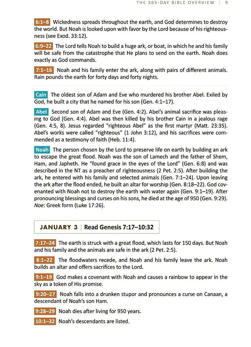 The 365-Day Bible Overview - A Clear and Easy Plan For Understanding ...