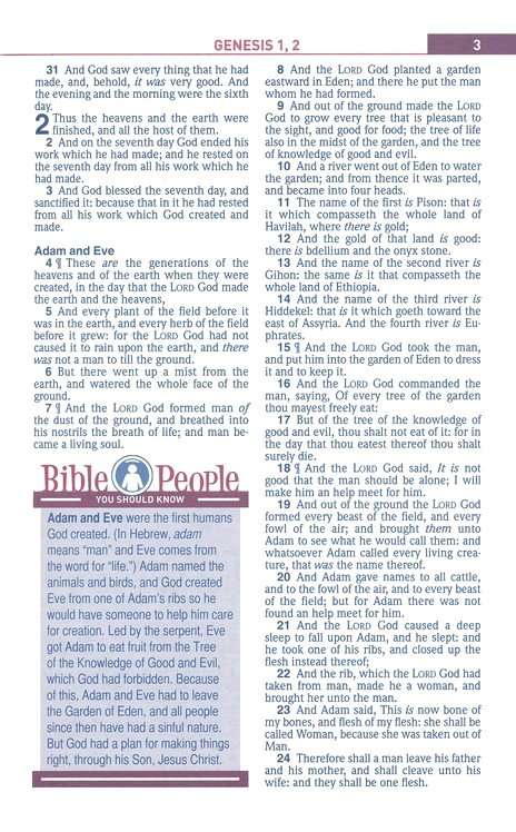 KJV Kids Study Bible: Two Toned Flexisoft (ISBN:9781683072836) (D ...