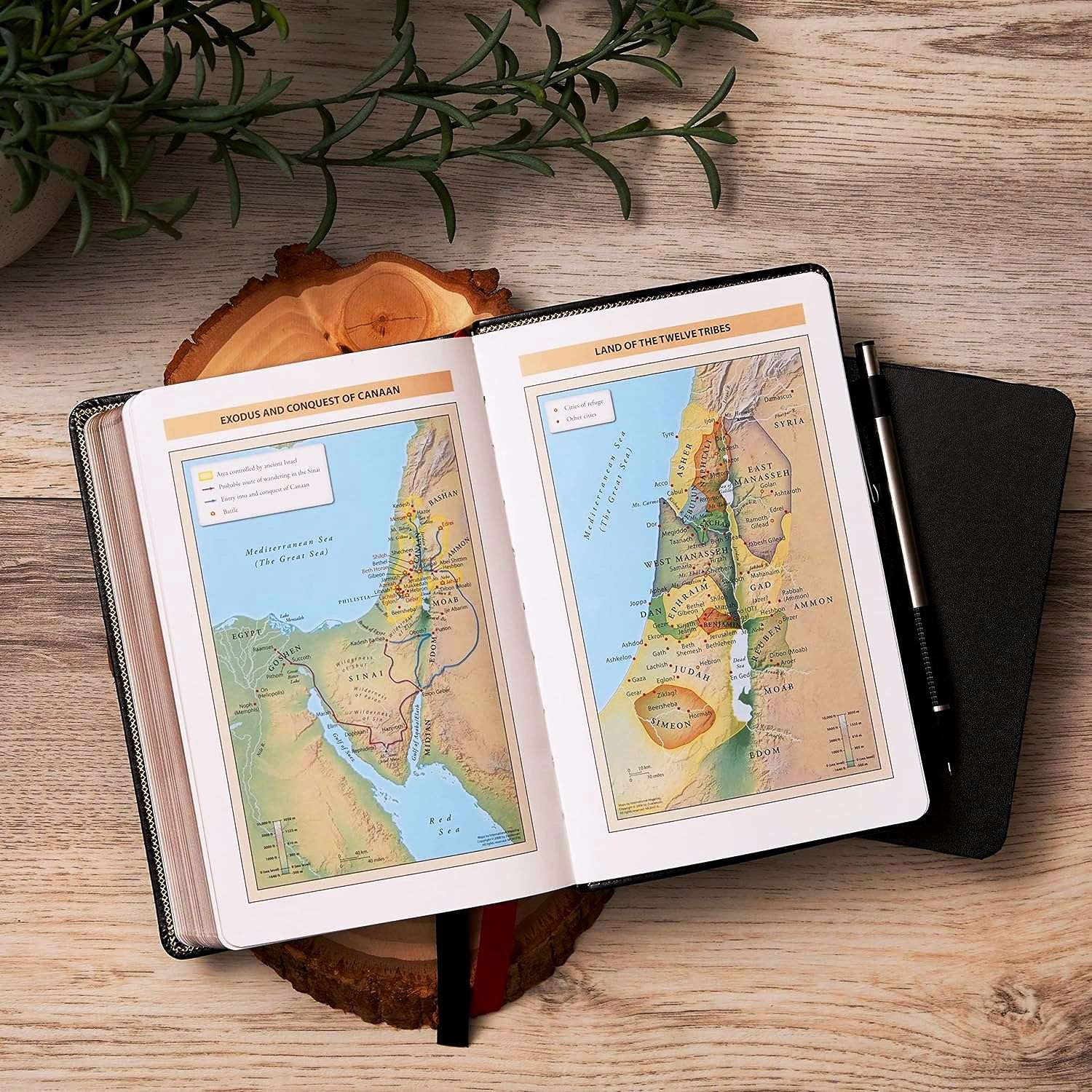 NKJV Deluxe Compact Large Print Reference Bible: Purple/Gray ...